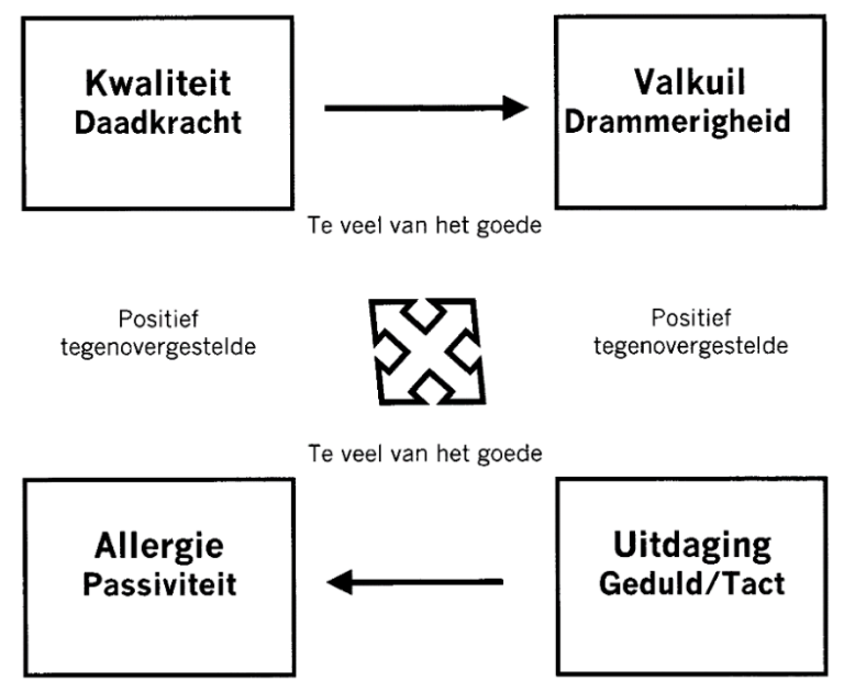 Bepaal je kernkwaliteiten met het model van Daniel Ofman - Freudenberg
